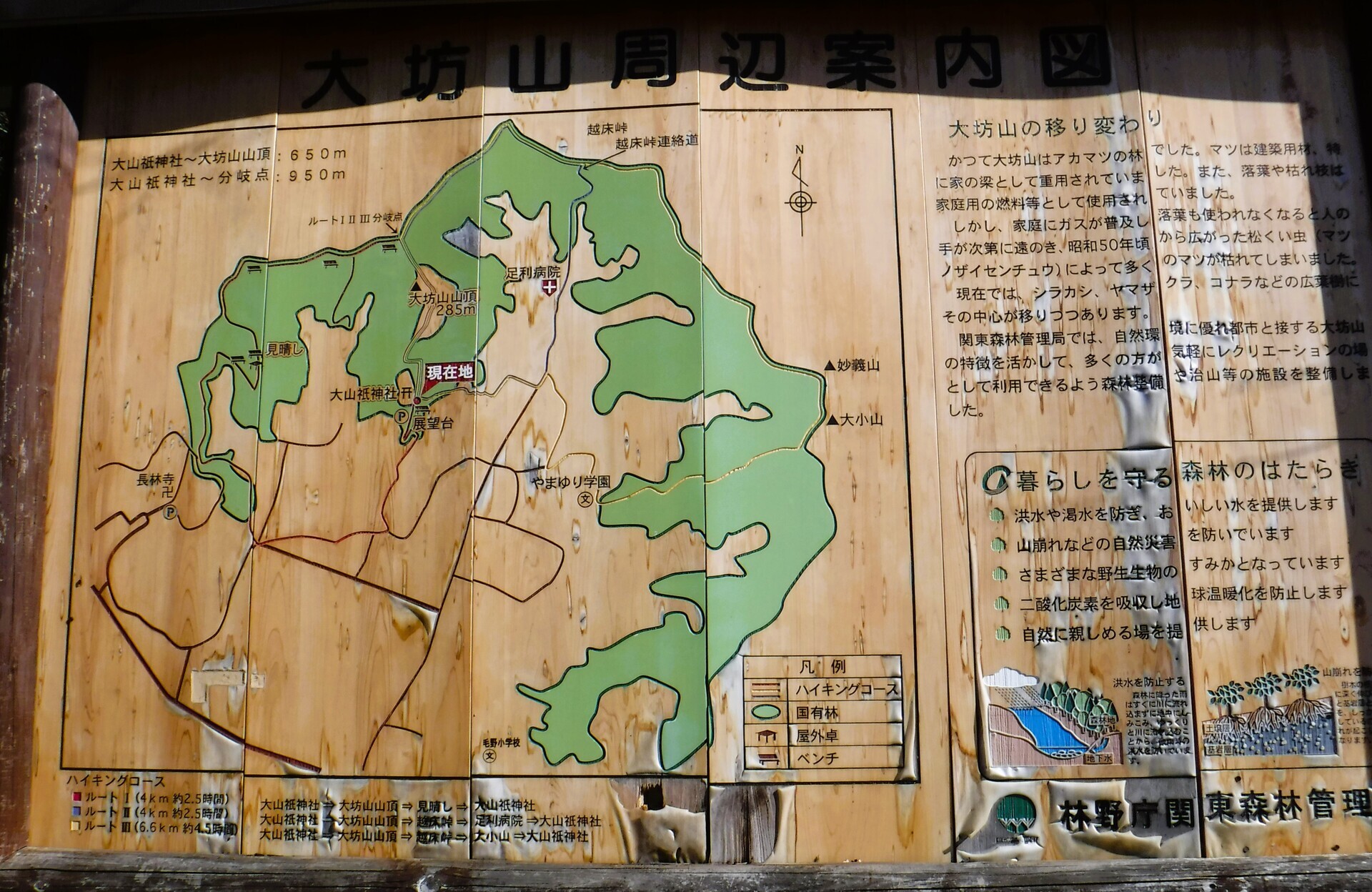 栃木県 阿夫利神社～大坊山～大小山(妙義山314m) 2025年 1/11(土): 登山教室 「山旅クラブ」 トミーの山旅日誌